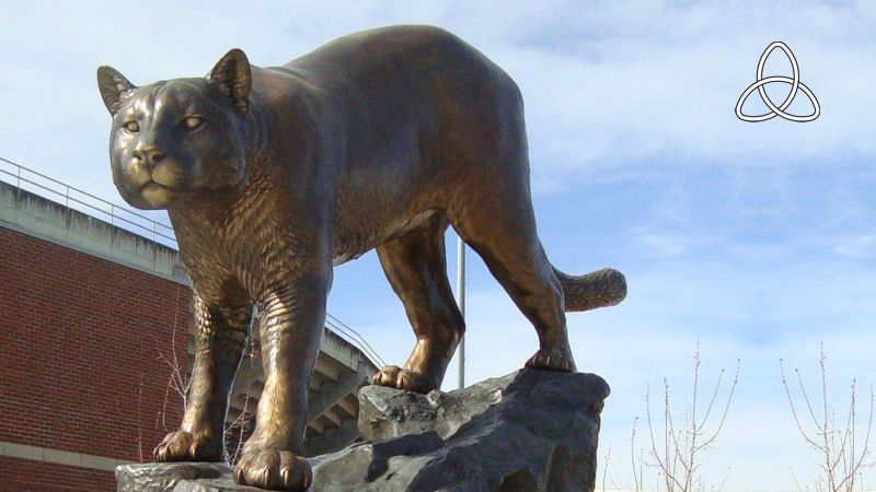 WSU Cougar Sculpture Structural Frame Design – Pullman, WA – Keltic ...